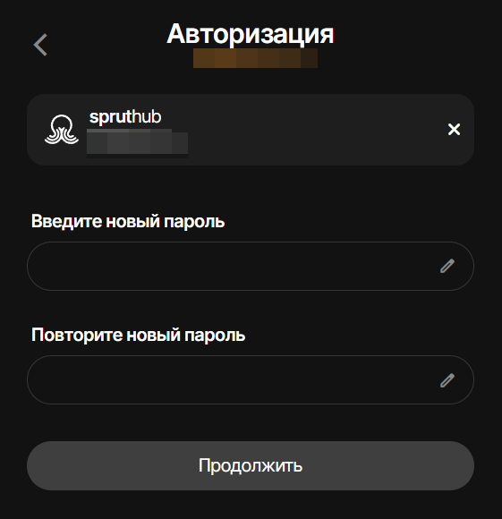 Первоначальная настройка Sprut.hub — Sprut.hub Wiki